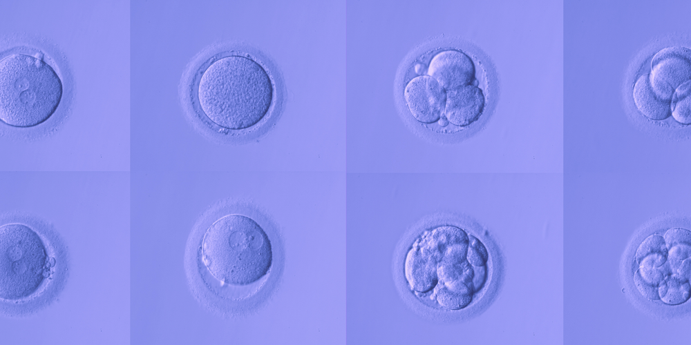 Kinderwunsch: So unterstützt du die Einnistung der Eizelle | Ovy